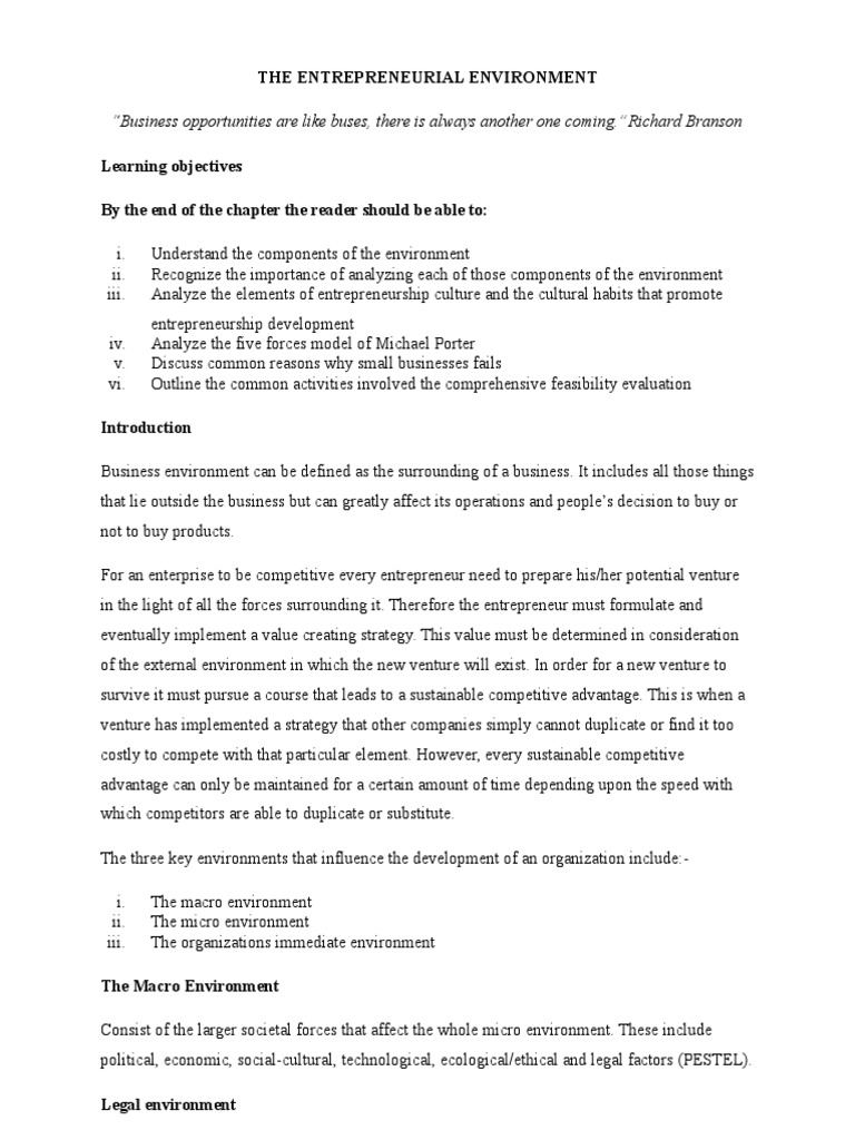 Components of the Entrepreneurial Environment | PDF | Entrepreneurship ...