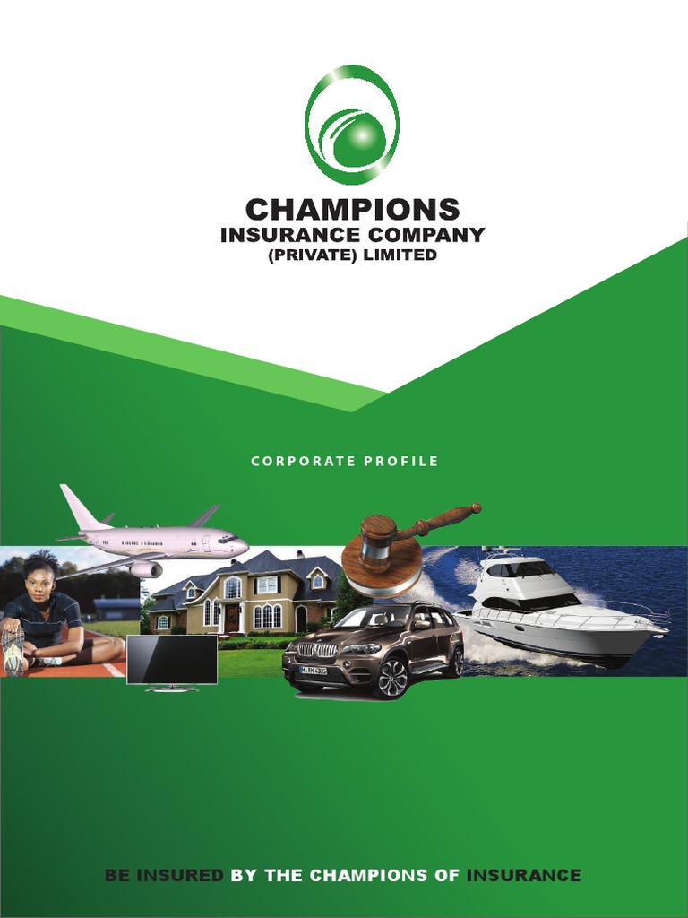 Champions Insurance Company Profile | PDF | Reinsurance | Vehicle Insurance