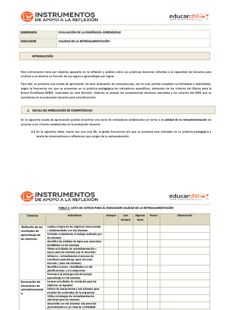 Instrumento de retroalimentación.pdf | Aprendizaje | Evaluación ...