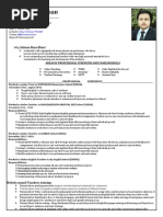 Political Resume Sample | PDF | English As A Second Or Foreign Language ...