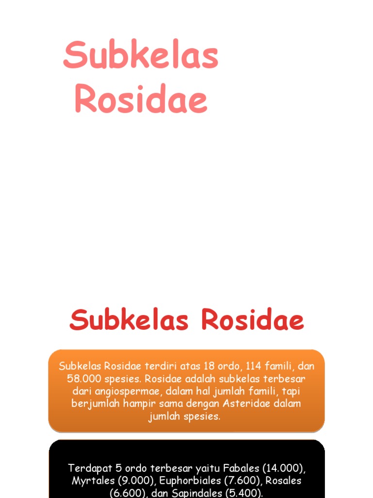 Rosidae | PDF