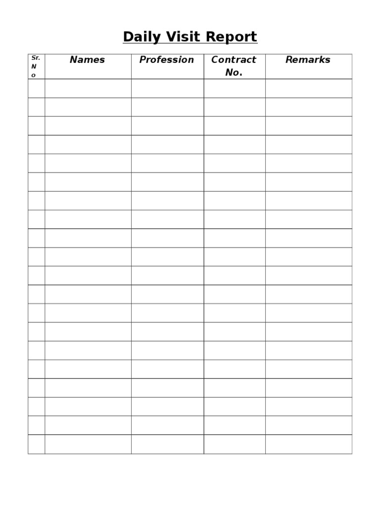 Daily Visit Report Summary | PDF