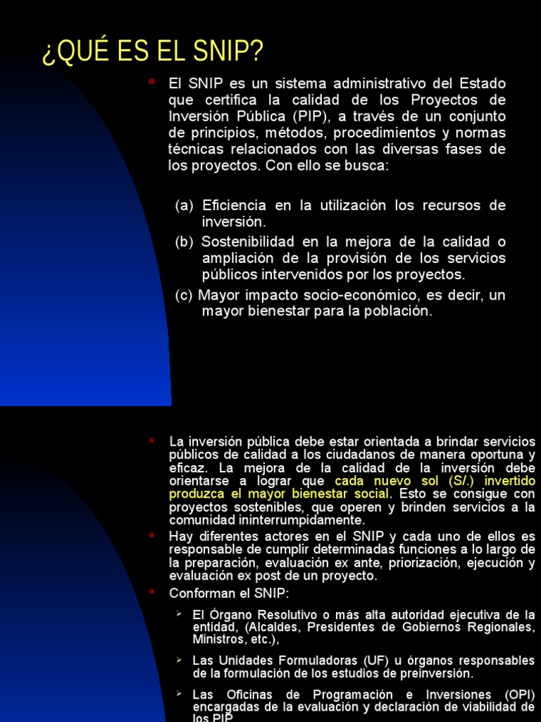 Que Es El Snip | PDF | Gobierno | Economias