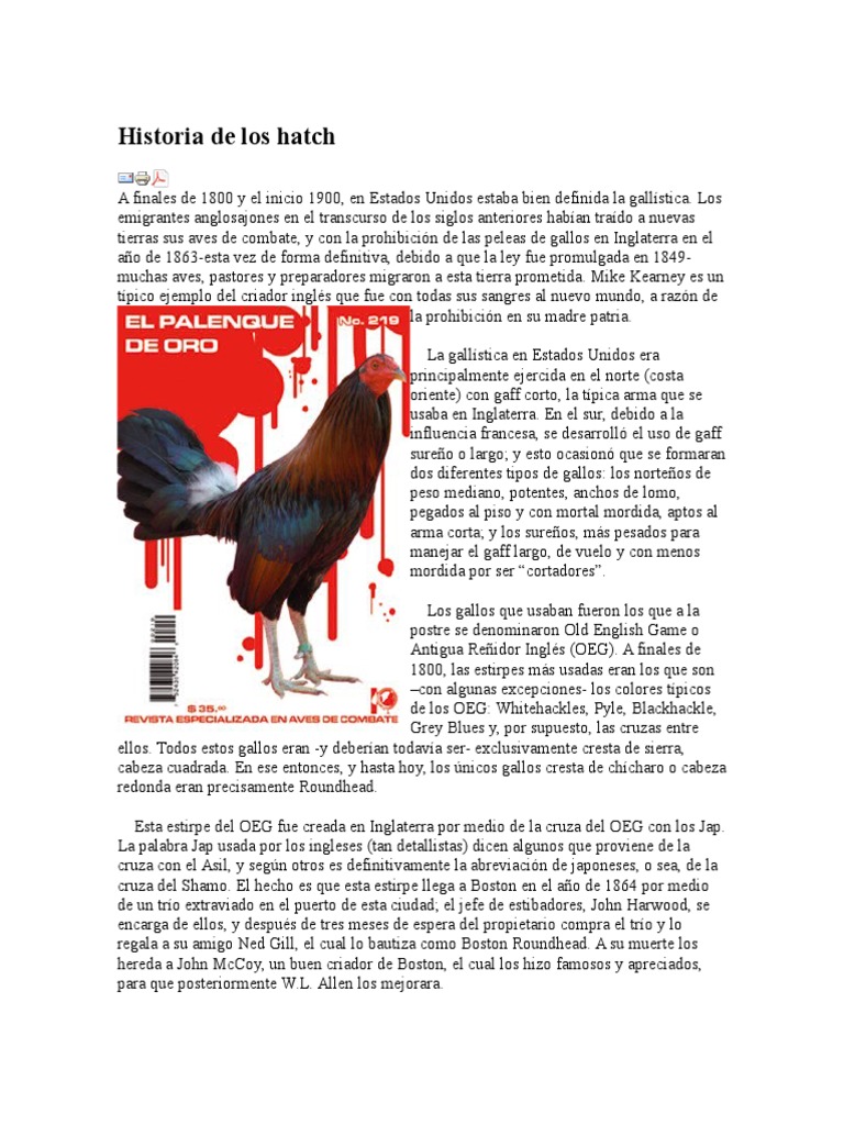 Historia de los gallos Hatch | PDF | Pollo | Aves