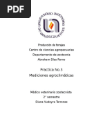 Morfología de Frutos: Silicua y Cipsela | PDF | Fruta | Morfología Vegetal
