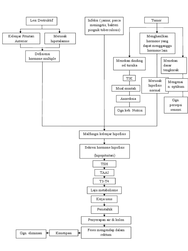 WOC Hipopituitari | PDF