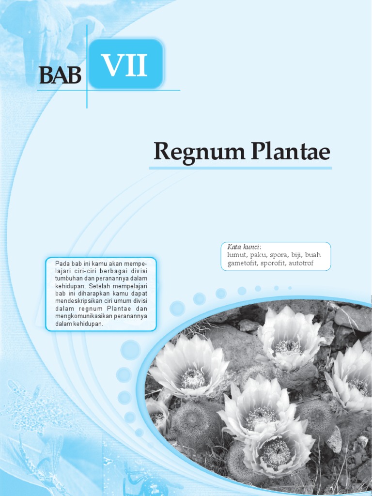 08 Bab7 | PDF