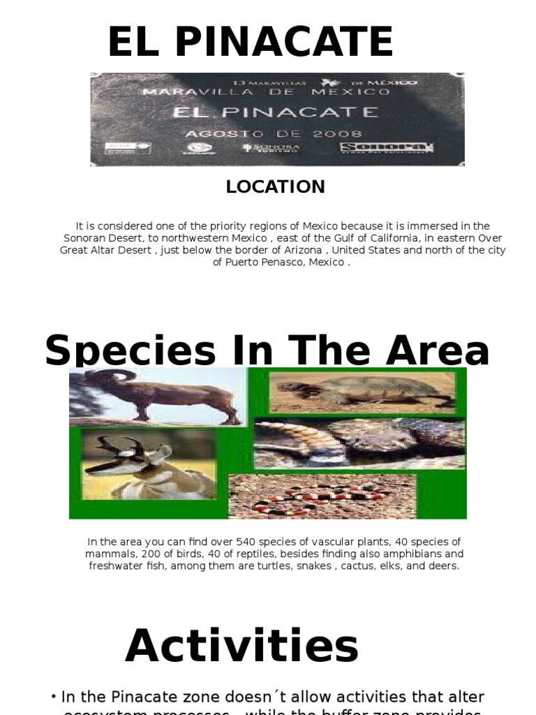 El Pinacate: Location | PDF