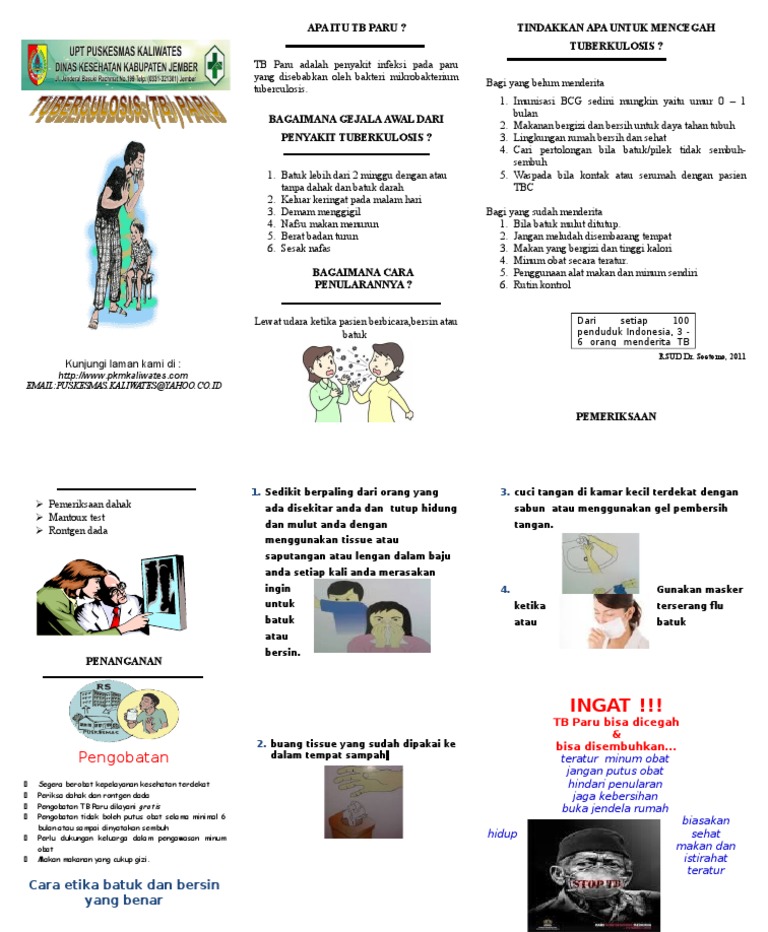 Leaflet Penyuluhan TB Paru | PDF