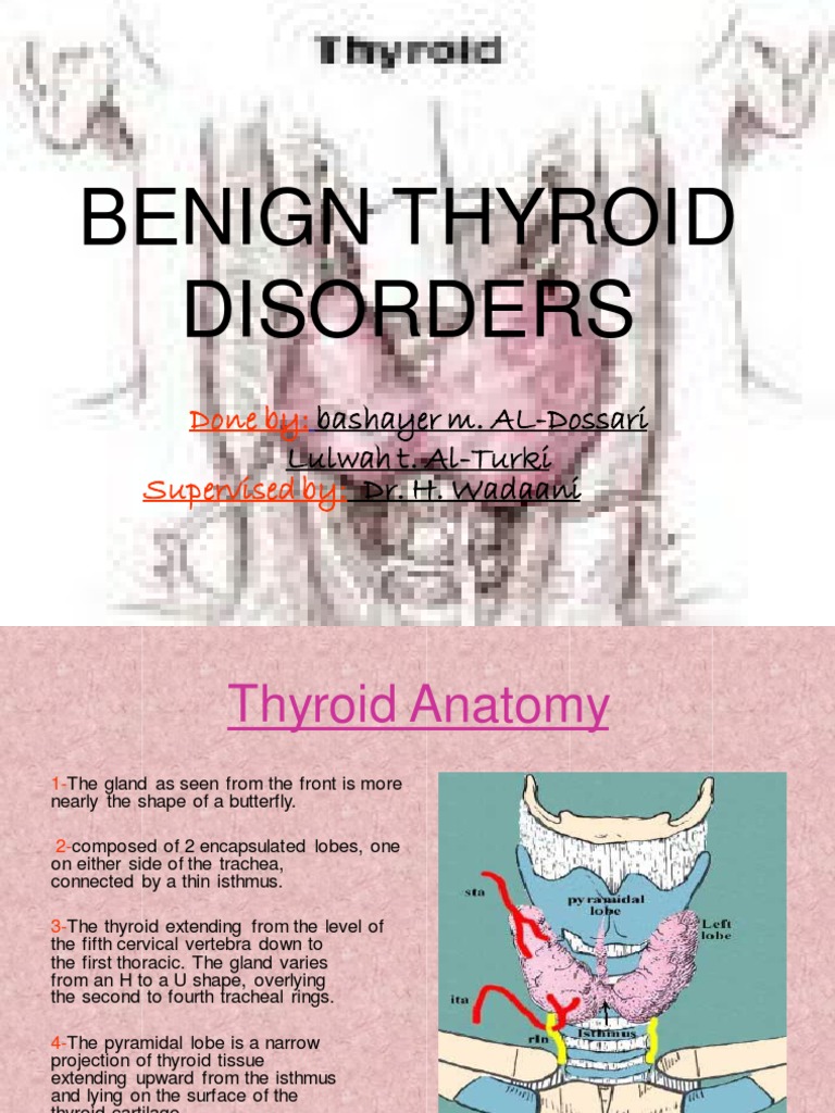 Thyroid Powerpoint Presentation Pdf Common Carotid Artery Thyroid