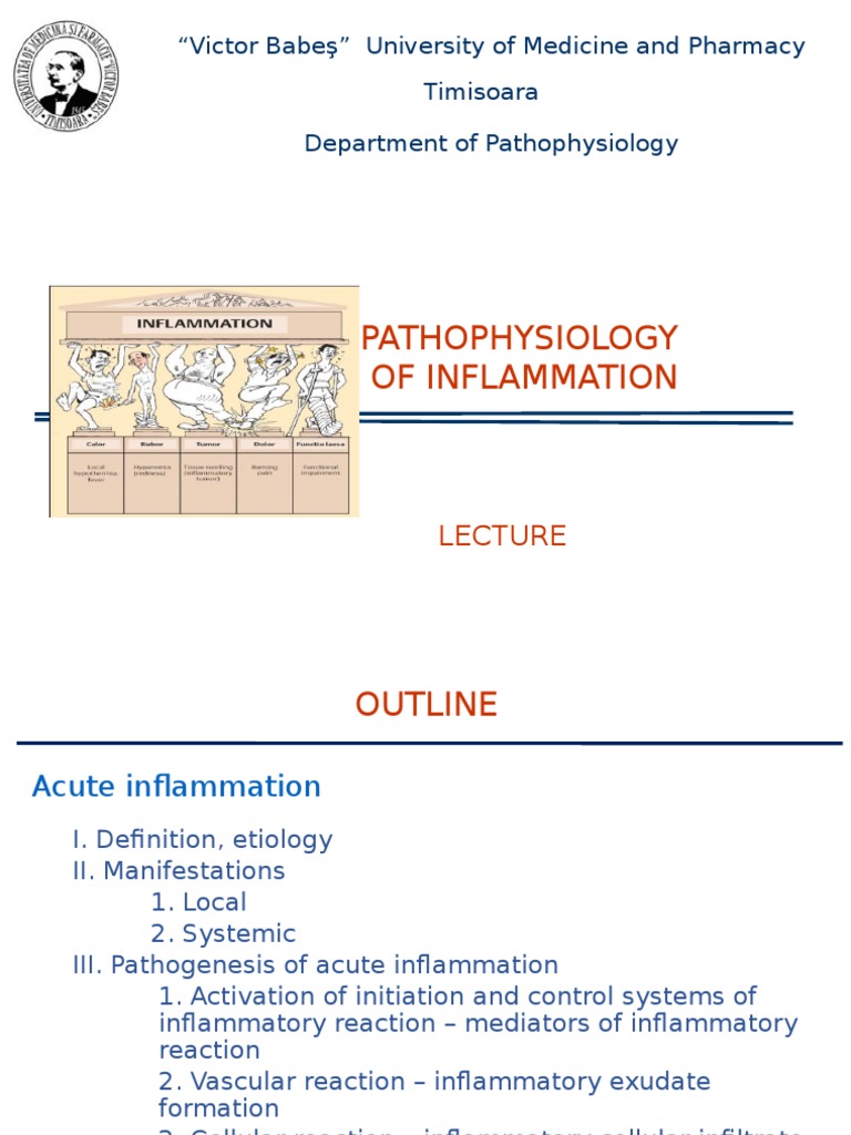 Acute Inflammation for Med Students | PDF | Inflammation | Macrophage