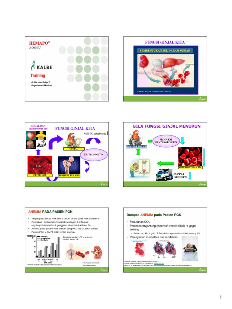 ATT - 1372593218519 - Hemapo Ref PDF | PDF