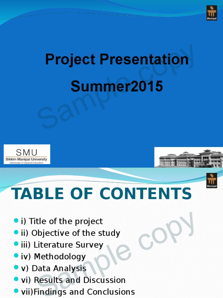 Project-Presentation Sample | PDF