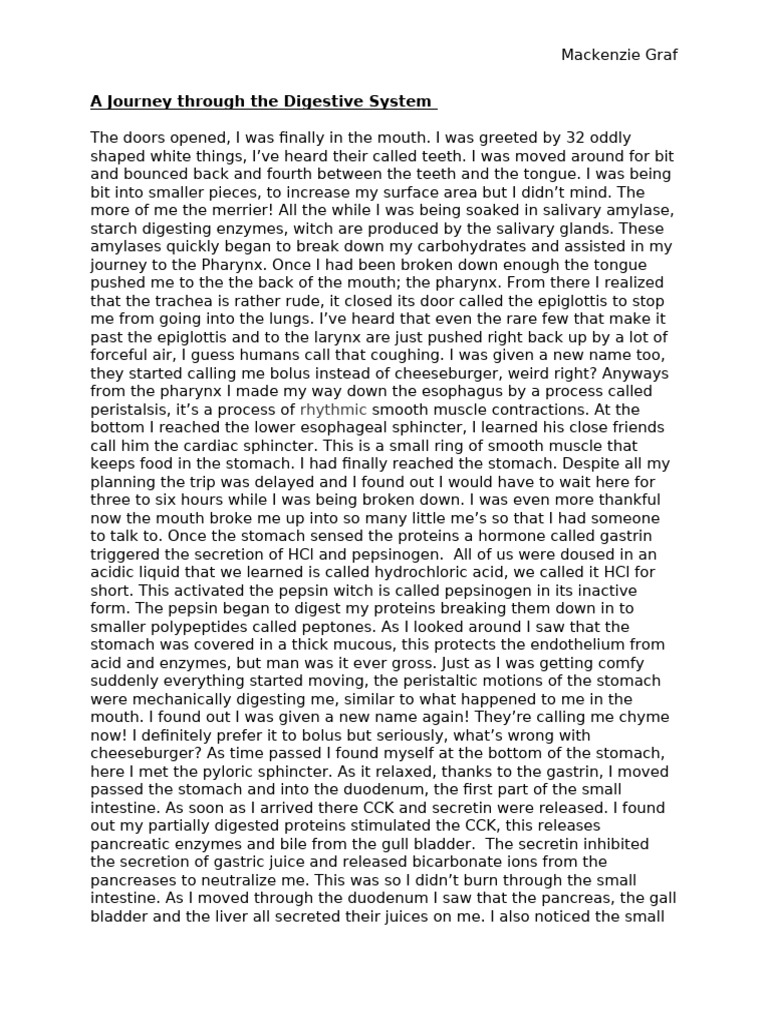 A Journey Through The Digestive System: Rhythmic | PDF | Digestion ...