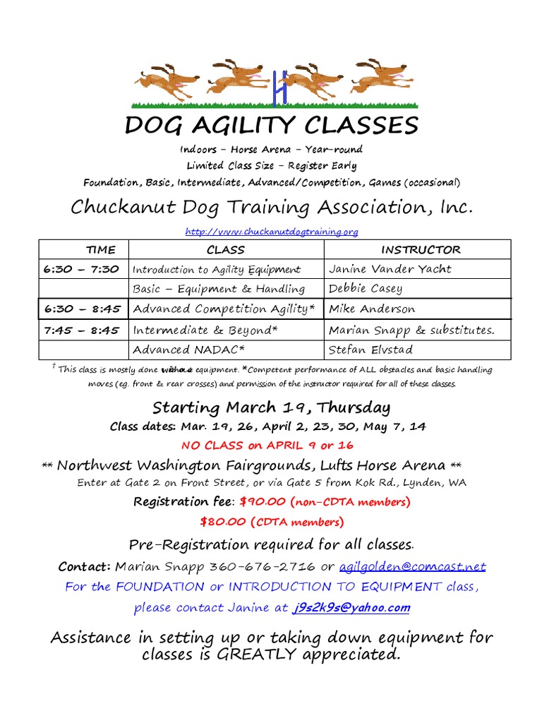 Agility Class Flyer | PDF
