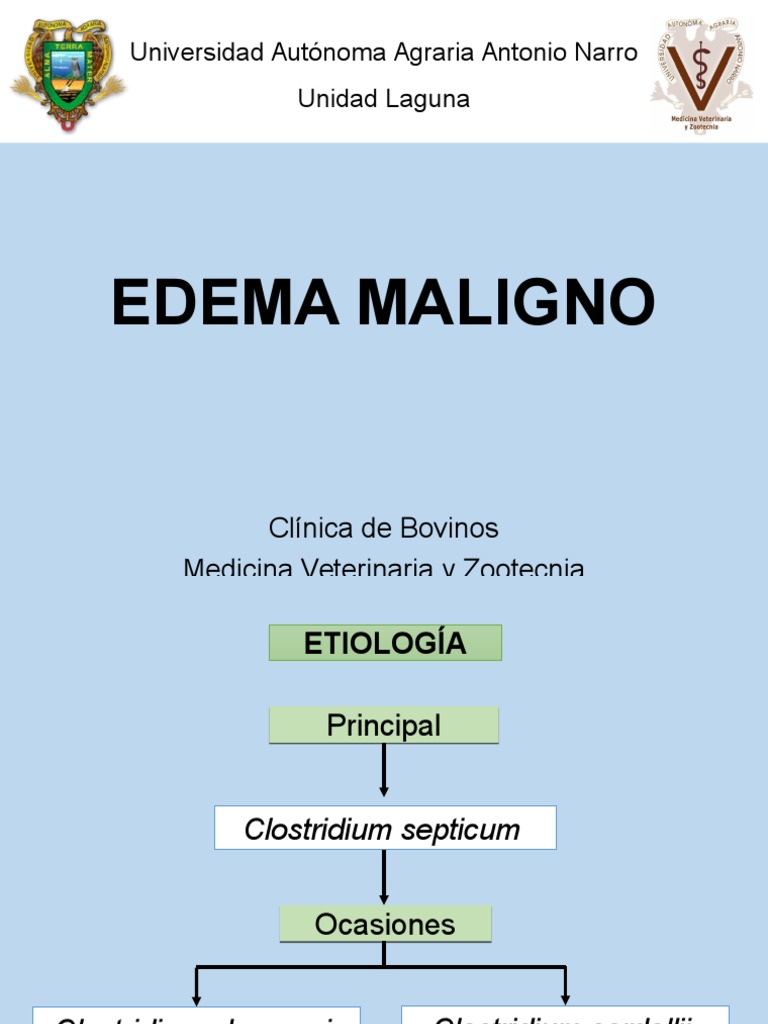 Edema Maligno | PDF