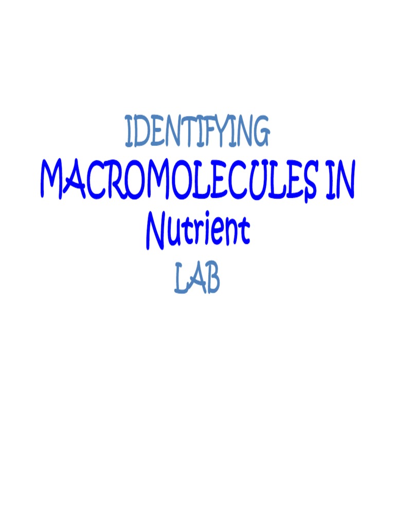 Macromolecules Lab | PDF | Carbohydrates | Hydrolysis