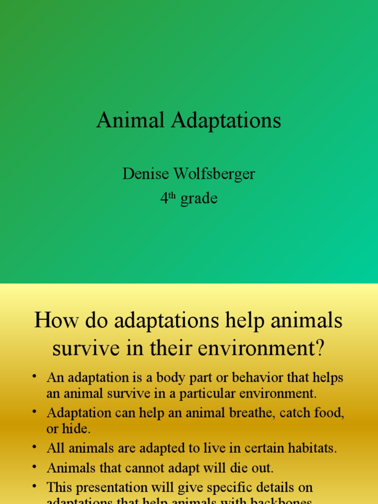 Animal Adaptations: Denise Wolfsberger 4 Grade | PDF