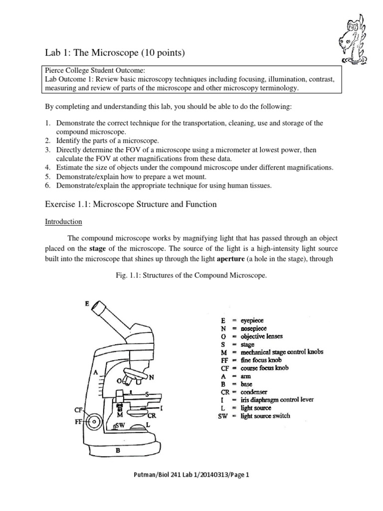 Lab 1: The Microscope (10 Points) : Exercise 1.1: Microscope Structure and Function | PDF ...