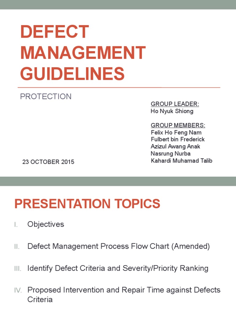 Defect Management Guidelines - Draft | PDF | Rectifier | Relay