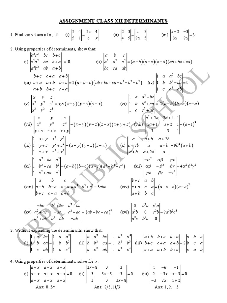 Assignment Class Xii Determinants | PDF | System Of Linear Equations | Equations
