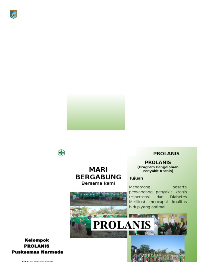 Brosur Prolanis 1 | PDF