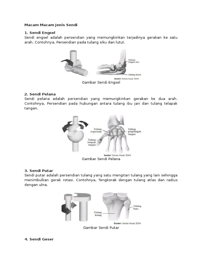 Macam Macam Jenis Sendi | PDF | Ilmu Sosial