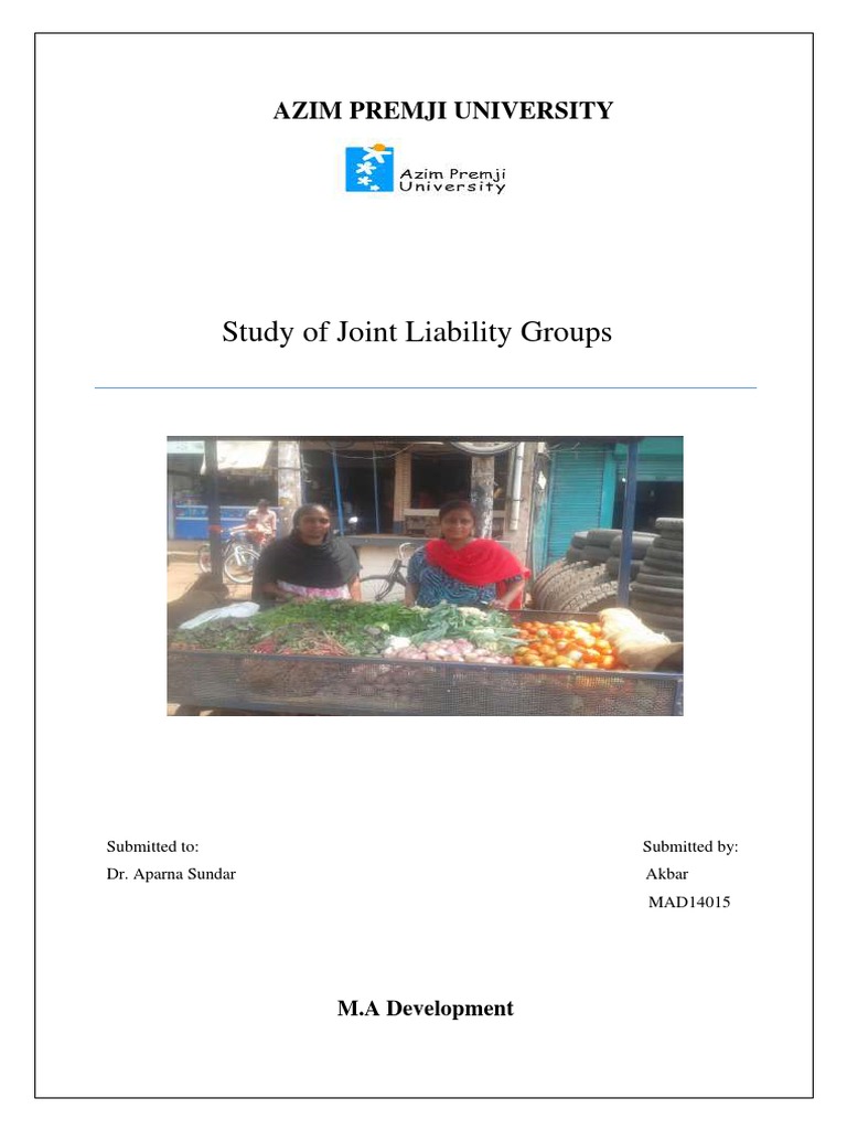 Internship Report Joint Liability Group | PDF | Credit | Finance ...