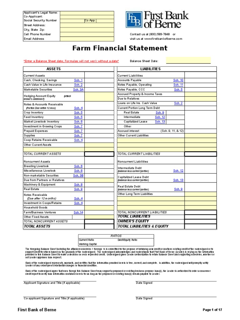 Farm Financial Statement | PDF | Balance Sheet | Credit (Finance)