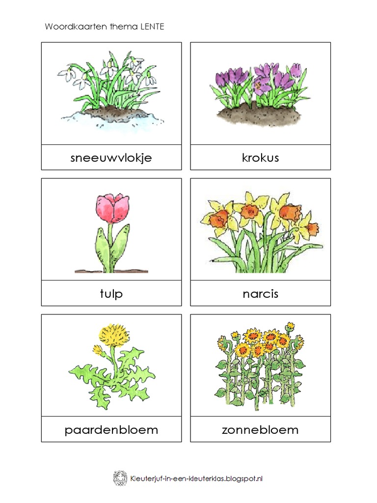 Woordkaarten Thema LENTE (Dagmar Stam) PDF | PDF