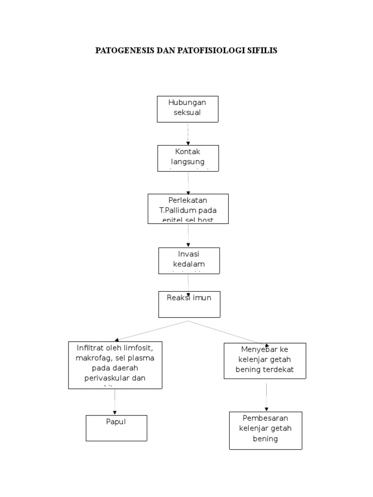 Patogenesis Dan Patofisiologi Sifilis | PDF