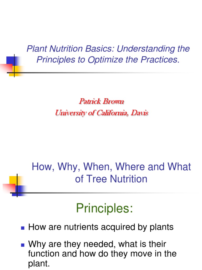 Principles of Plant Nutrition Management | PDF | Plant Nutrition | Soil