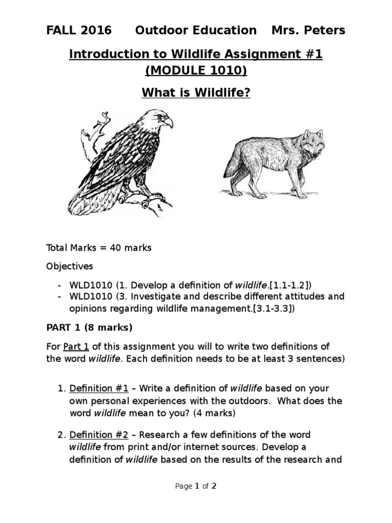 Introduction To Wildlife Assignment1 | PDF