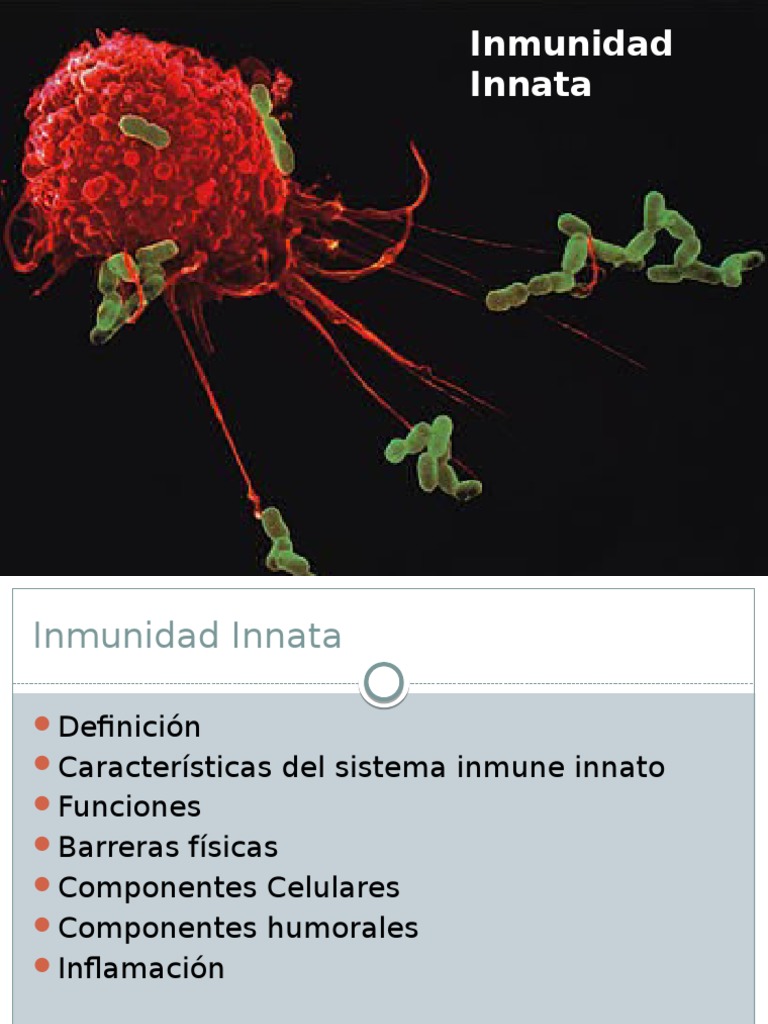 Inmunidad Innata | Sistema inmune innato | Inflamación
