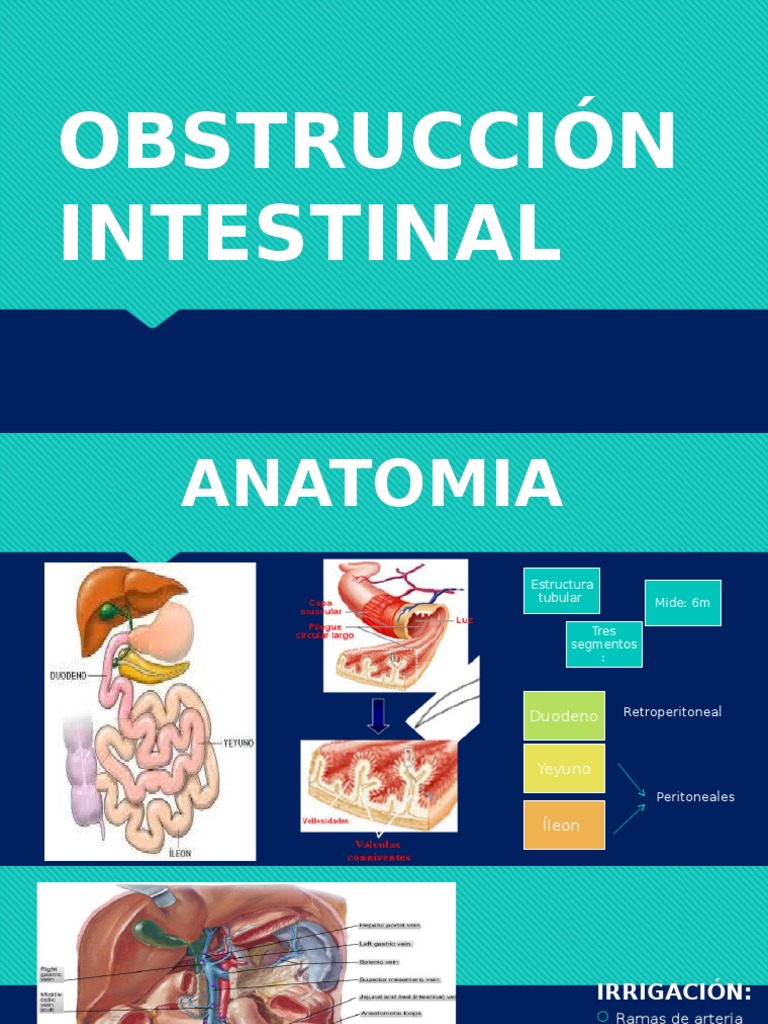 Obstruccion Intestinal | PDF | Sistema digestivo | Medicina CLINICA