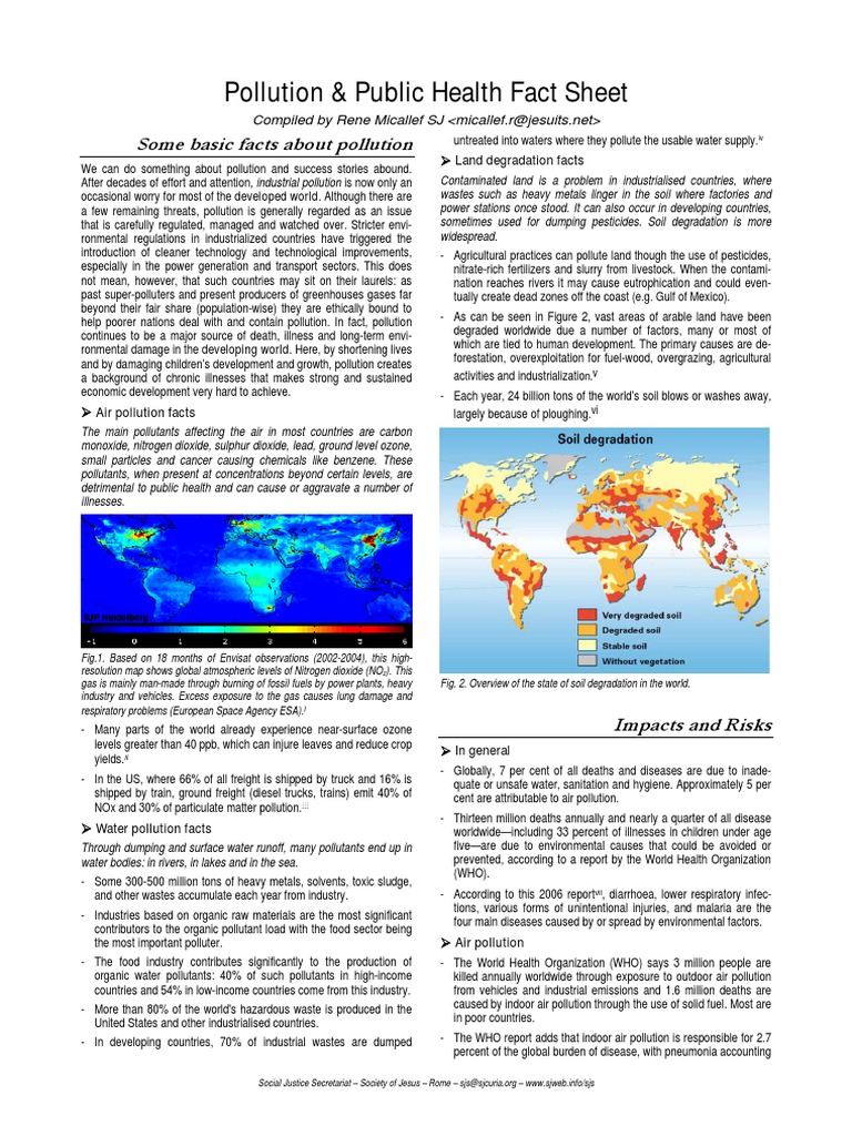 Pollution's Impact on Public Health | PDF | Pollution | Air Pollution