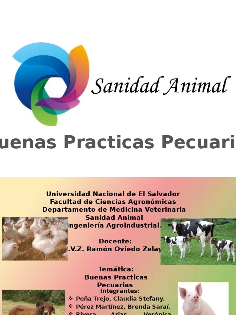 Buenas Practicas Pecuarias | PDF | Leche | Alimentos