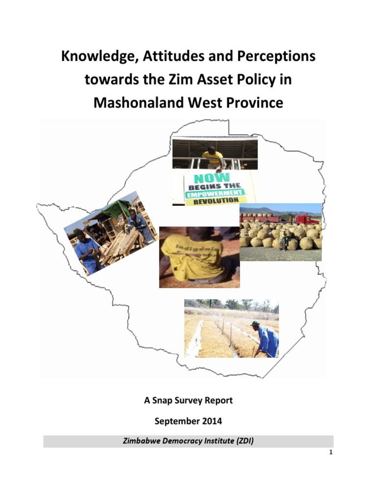 Zim Asset | PDF | Governance | Zimbabwe