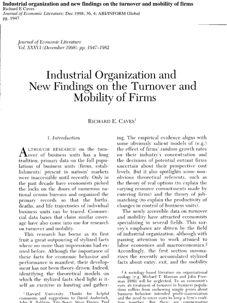21-Industrial Organization and Findings | PDF
