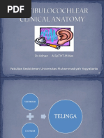 Stenger Test Guide | PDF | Hearing Loss | Ear