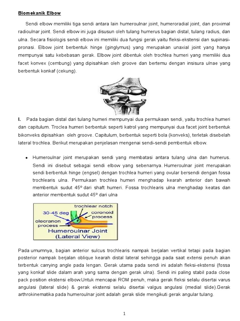 Biomekanik Elbow | PDF