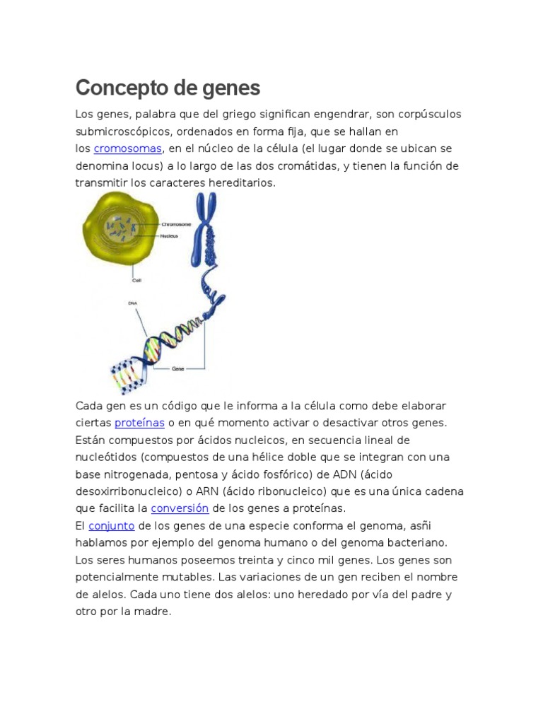 Concepto de Genes | Fenotipo | Gene