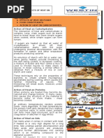 Food Production Notes | PDF | Chef | Foods