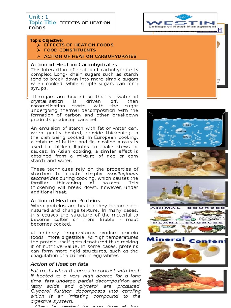 Topic 6 (Effects of Heat on Food | Cooking | Food & Wine