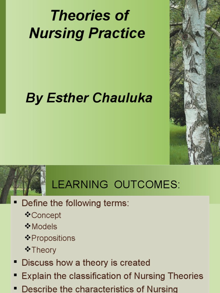 Theories of Nursing Practice | PDF | Florence Nightingale | Theory