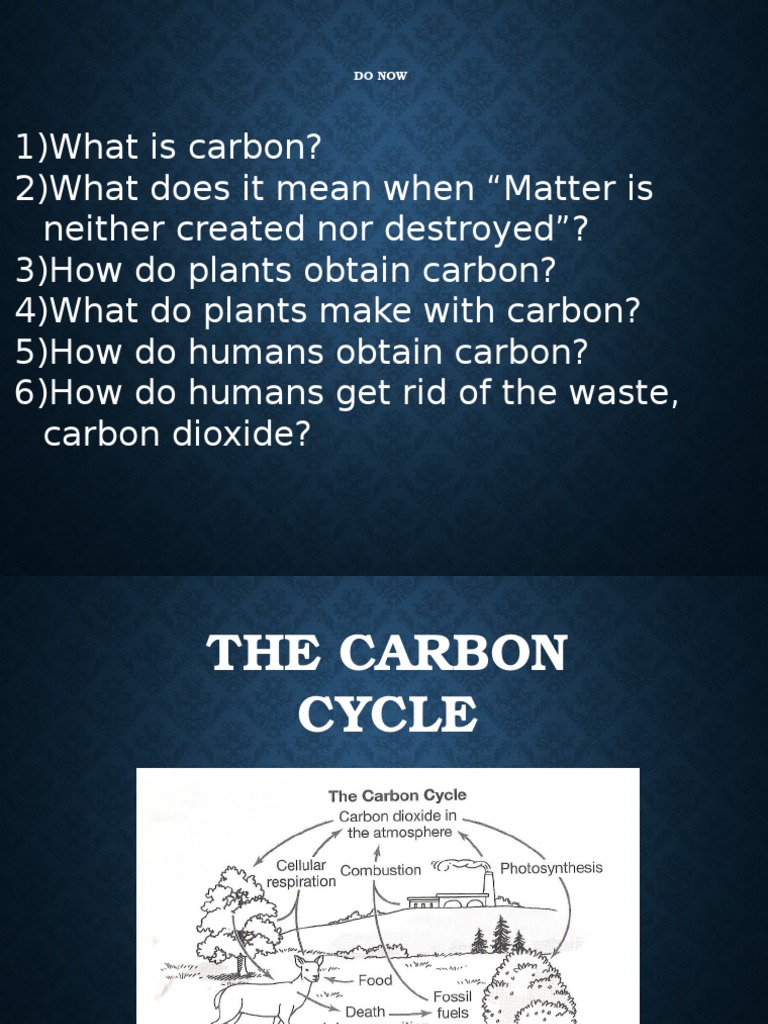 Carbon Cycle PPT Notes-1 | PDF | Carbon Dioxide | Carbon Cycle