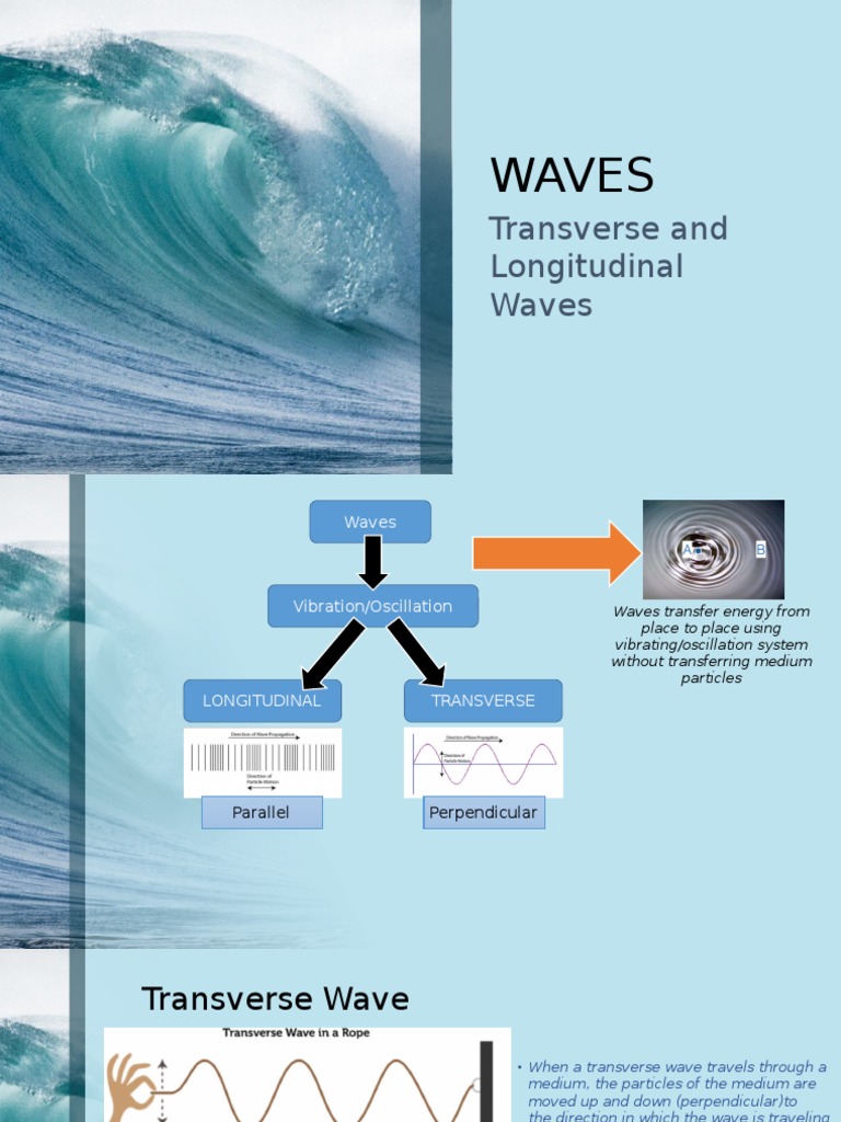 Understanding Transverse and Longitudinal Waves | PDF | Science ...