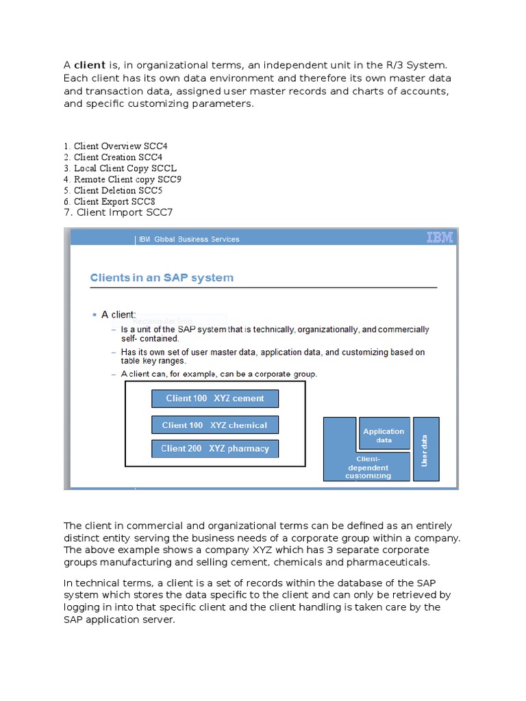 SAP Client | PDF | Databases | Information Technology