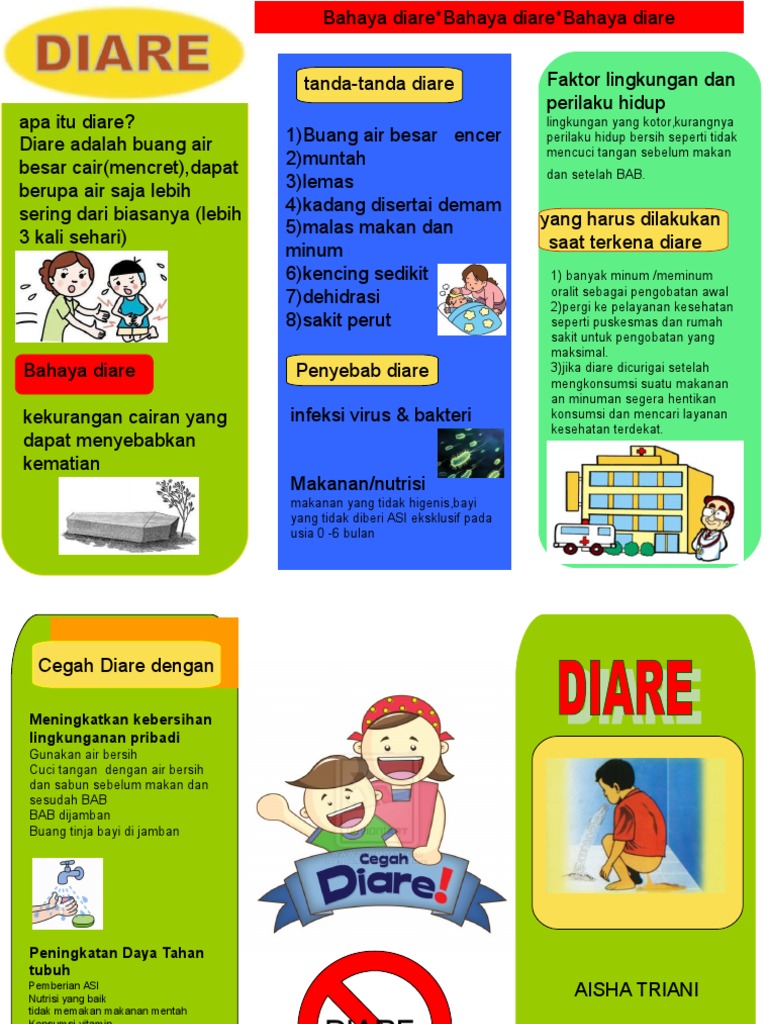 Leaflet DIARE | PDF