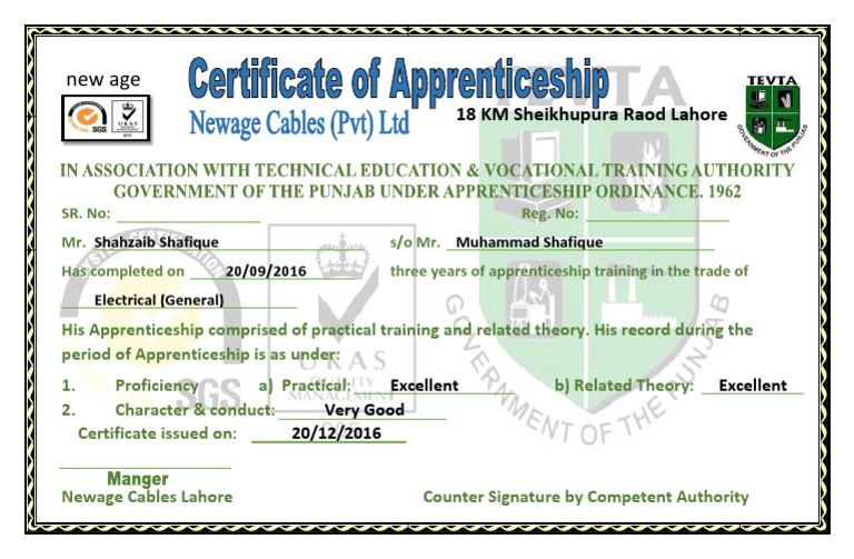 Certificate of Apprenticeship Zebi | PDF